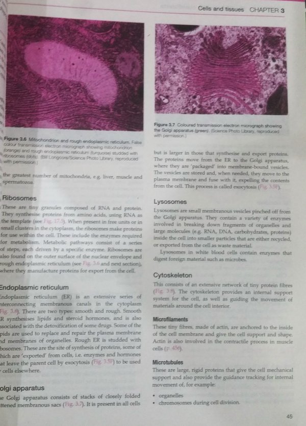 Ross & Wilson Anatomy and Physiology in Health and Illness 16th by Anne ...